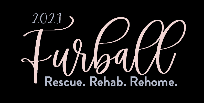 McCoy Sponsors the 29th Annual Furball Gala